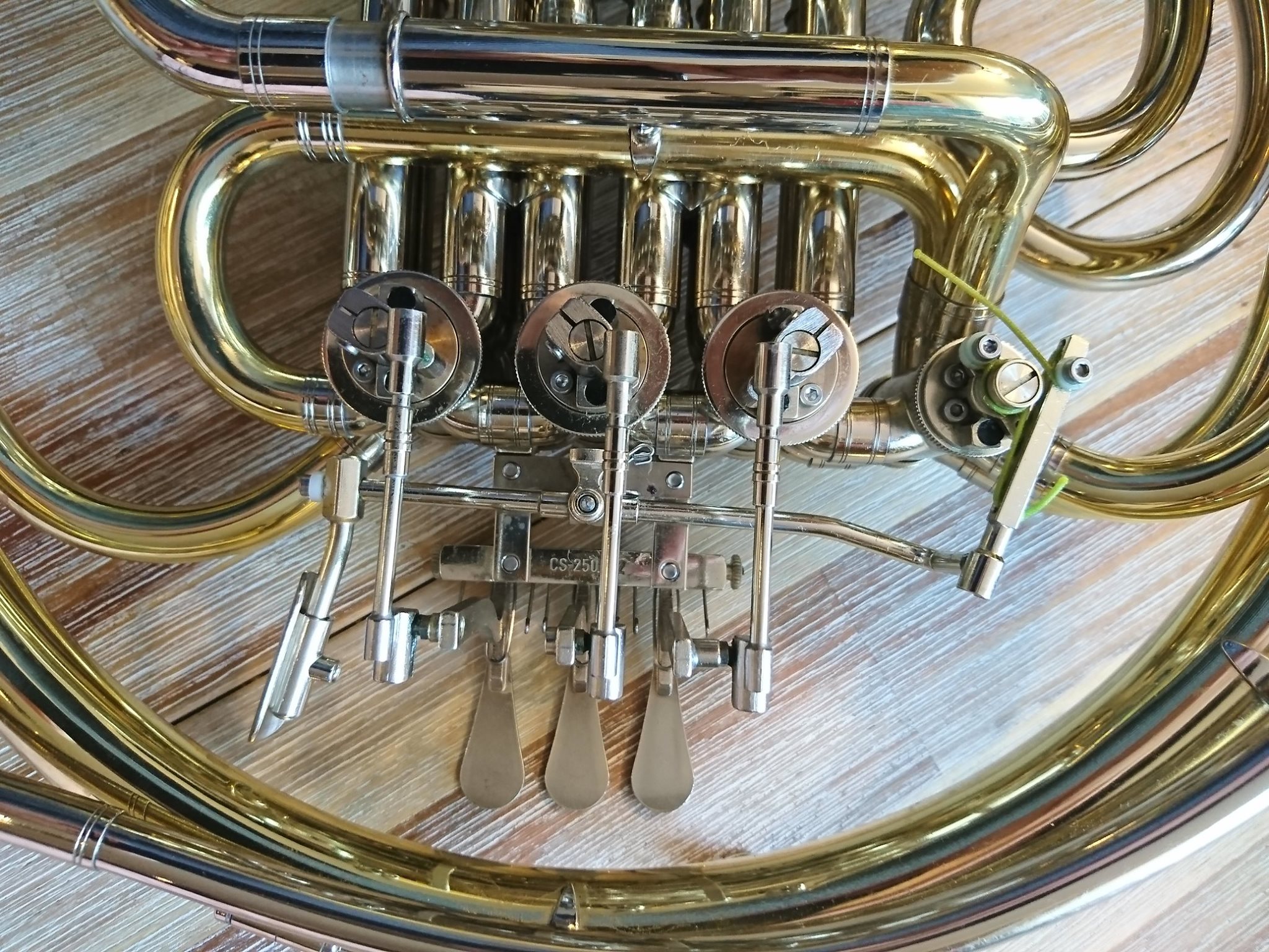 Future Programmes - Derby Music Club